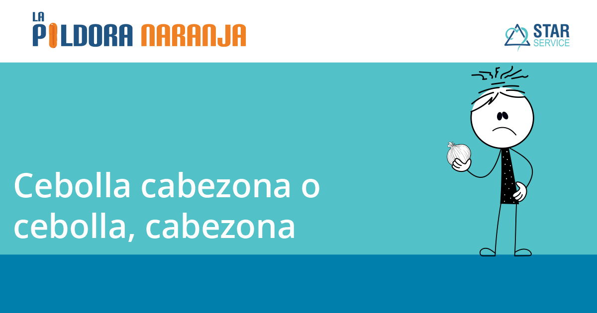 Cebolla cabezona o cebolla, cabezona